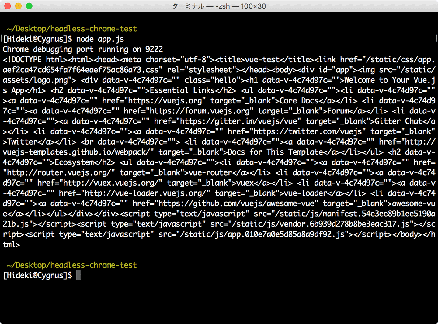Headless Chromeを使用しvuejsで出力したhtmlをvnuでチェックする Another Sky